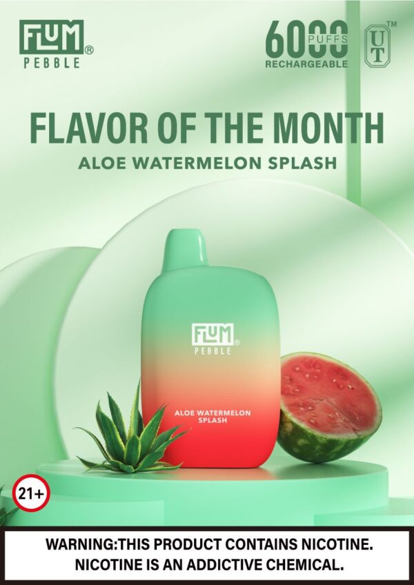 Flum Pebble Aloe Watermelon Splash Disposable Vape - Puffholic Vape
